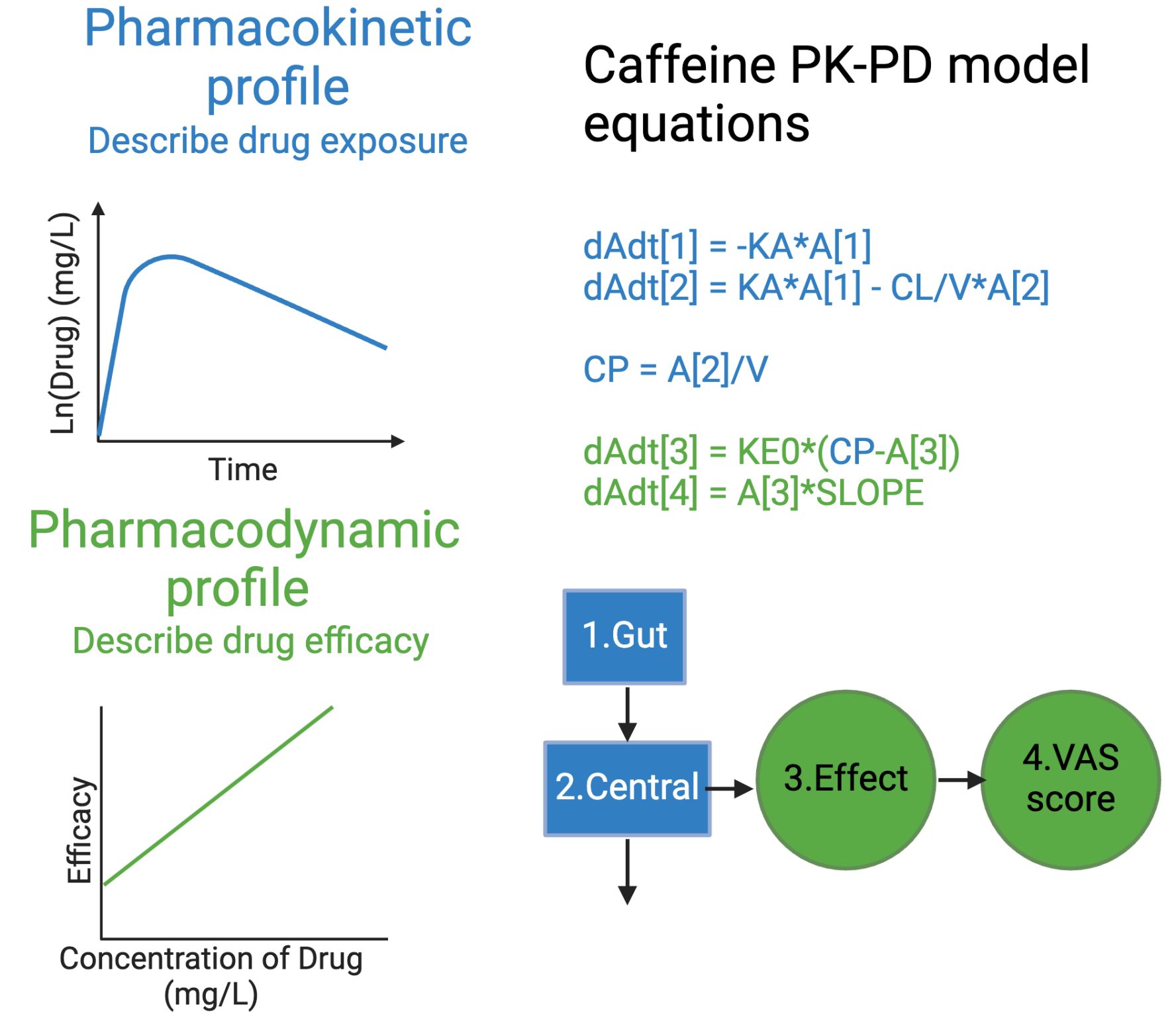 How to build a PK-PD model? | Singapore Pharmacometrics